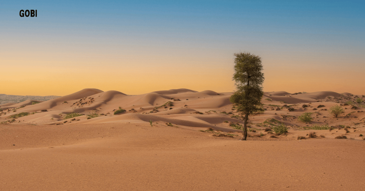 When Is The Best Time To Visit Gobi Desert In 2026